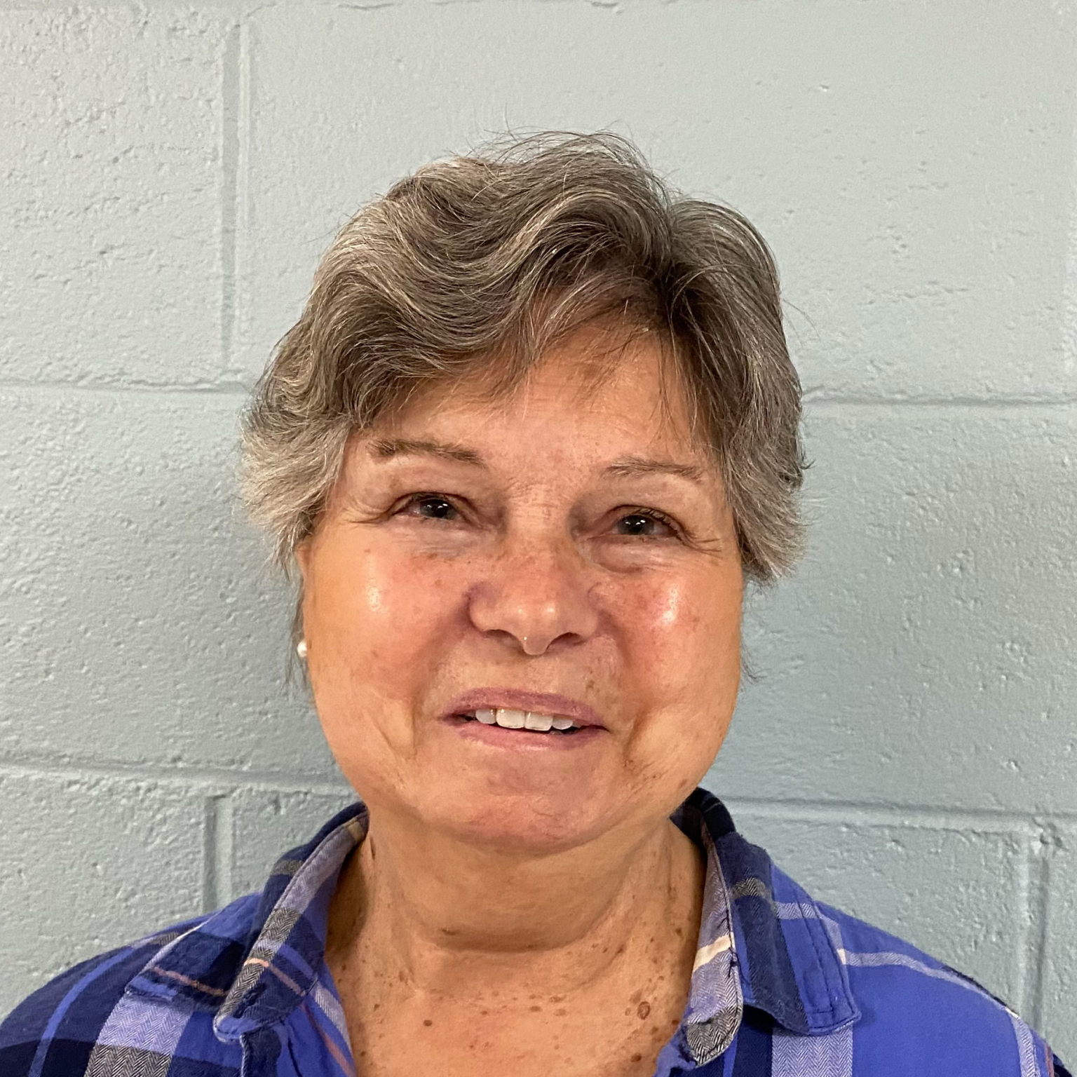 About | Friends in Action